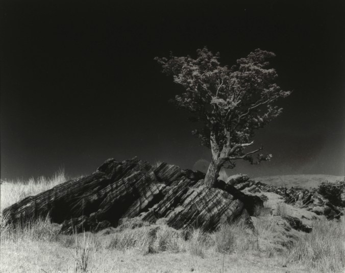 Visit | Yeats & the West
